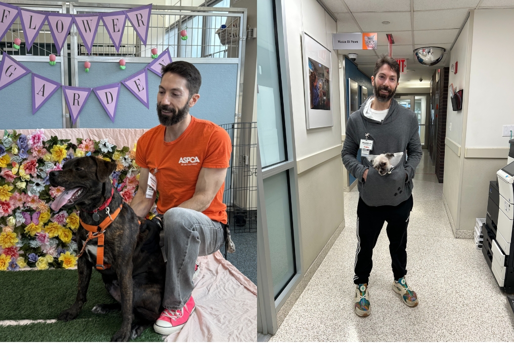 How Volunteer Alejandro A. Has Become the ASPCA Adoption Center’s ...