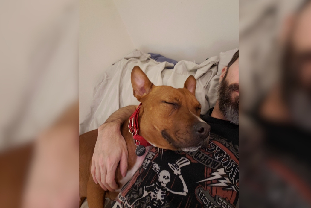 How Volunteer Alejandro A. Has Become the ASPCA Adoption Center’s ...