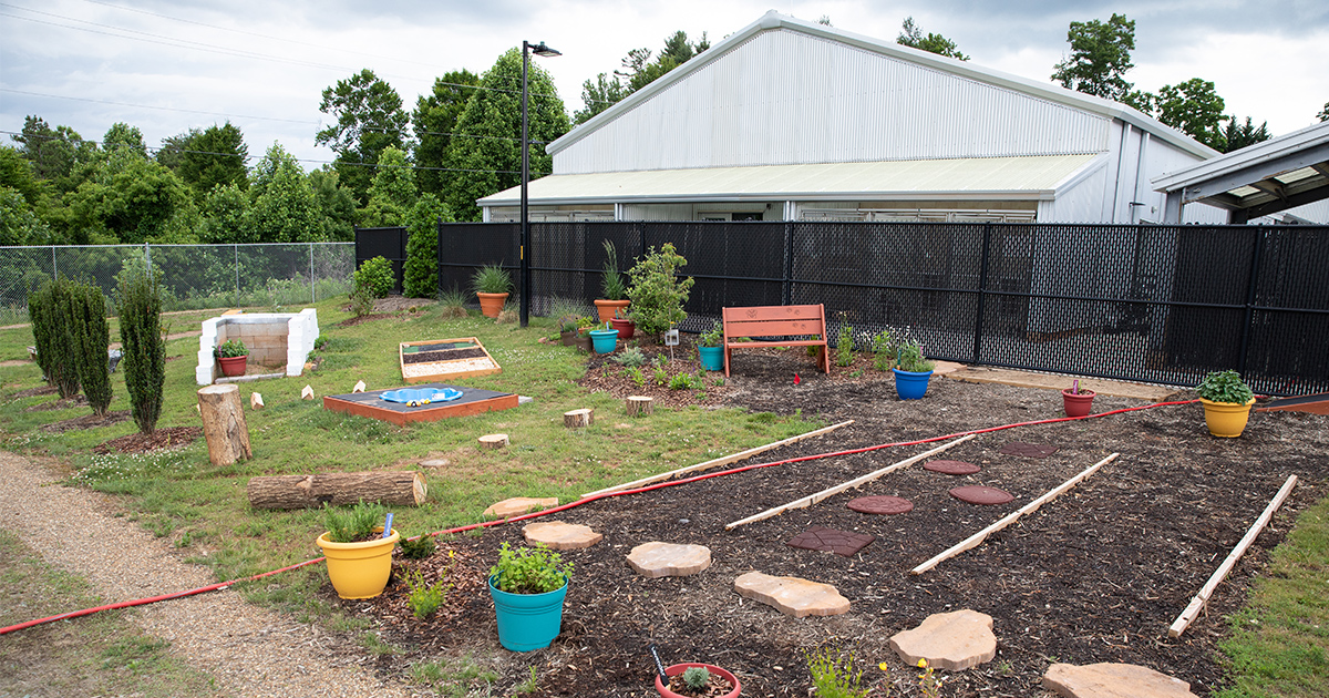 What Is a Sensory Garden and How Does It Help Fearful Dogs? | ASPCA
