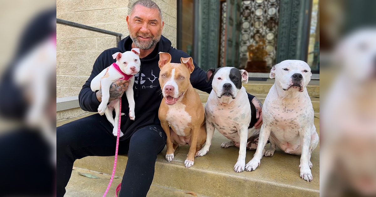 Actor and Dog Dad Dave Bautista Has a Message for You! | ASPCA
