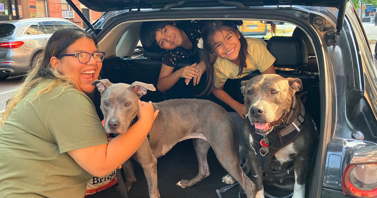 Celebrate National Pet Travel Safety Day with These Expert Do’s and Don ...