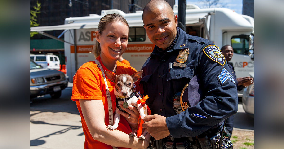 More Than 5,000 of New York City’s Animals Assisted Through Decade-Long ...