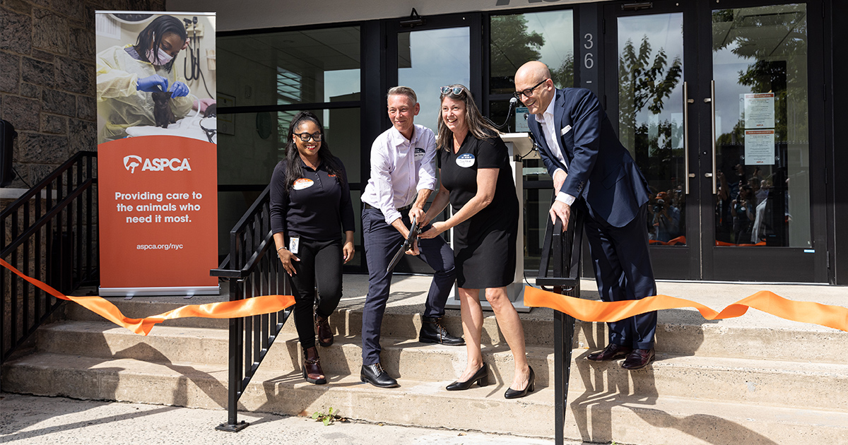 ASPCA Opens Third Community Veterinary Clinic in New York City ...
