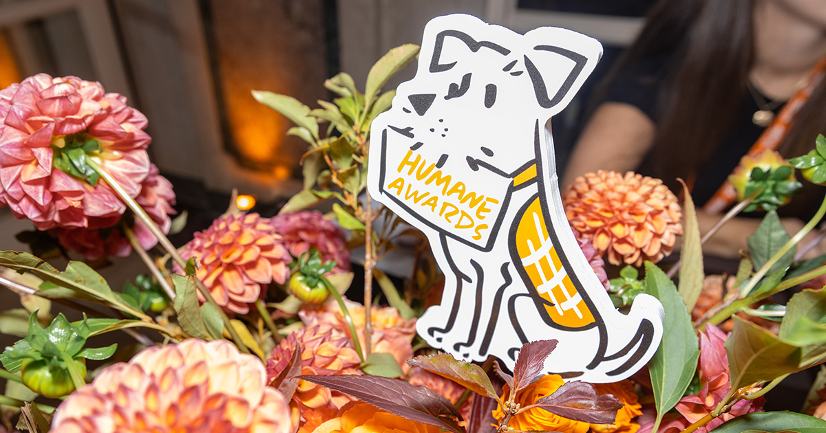 Extraordinary People and Animals Honored at the 2024 ASPCA Humane ...