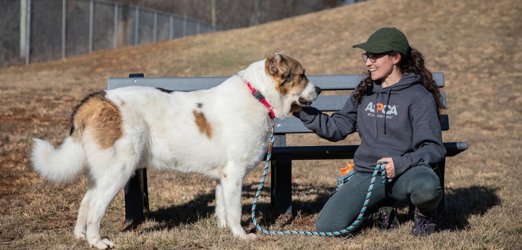 We’re Hiring! Join the ASPCA Recovery & Rehabilitation Center Team! | ASPCA