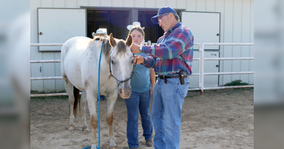 ASPCA Hosts Second-Annual Equine-Focused Law Enforcement Training | ASPCA