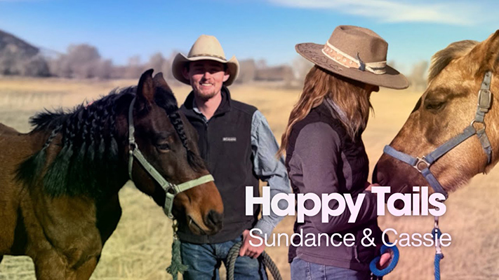 Their Compassion Spurred Action: How Two Hearts Helped Save a Herd of ...