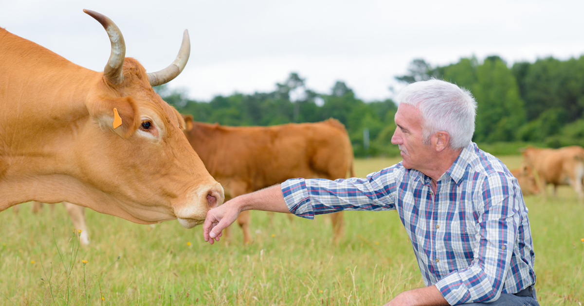 Investing In Farmers Who Are Building a More Humane Food System | ASPCA