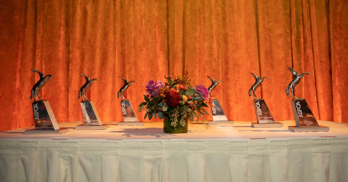 Heroic People and Animals To Be Honored at the 2025 ASPCA Humane Awards ...