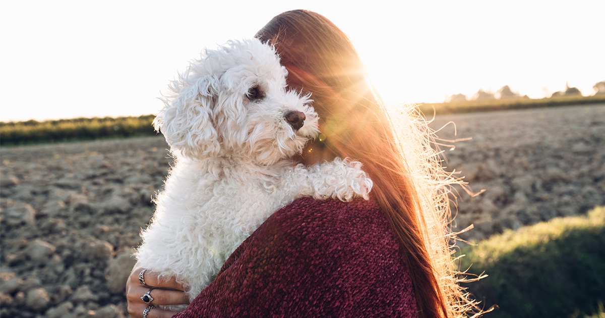 Make a Plan for Yourself and the Animals You Love! | ASPCA